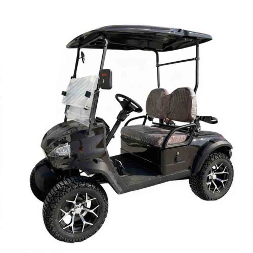 2 Person Golf Cart | Ideal for Golf & Leisure Trips